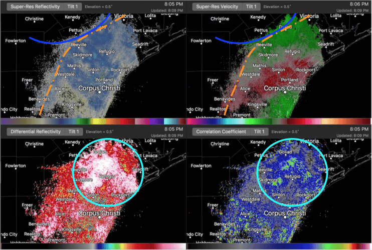 Check out some of the fascinating things Doppler weather radar can detect!