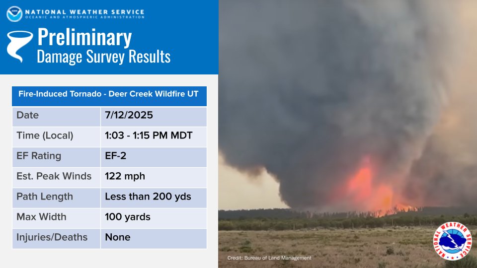 Fact Check: What Is a Firenado, and Can Wildfires Really Cause Tornadoes? – iWeatherNet