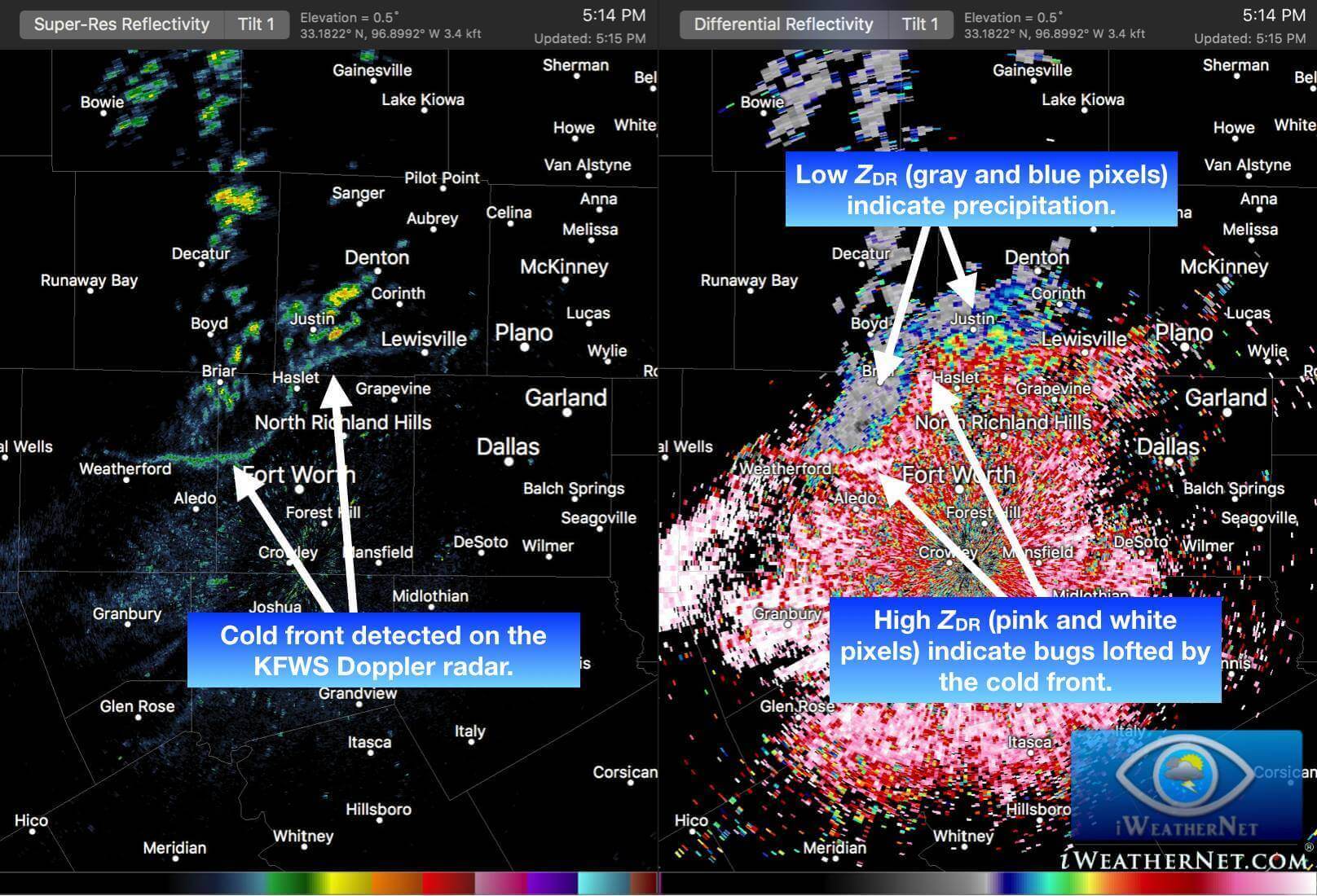 Check out some of the fascinating things Doppler weather radar can detect!